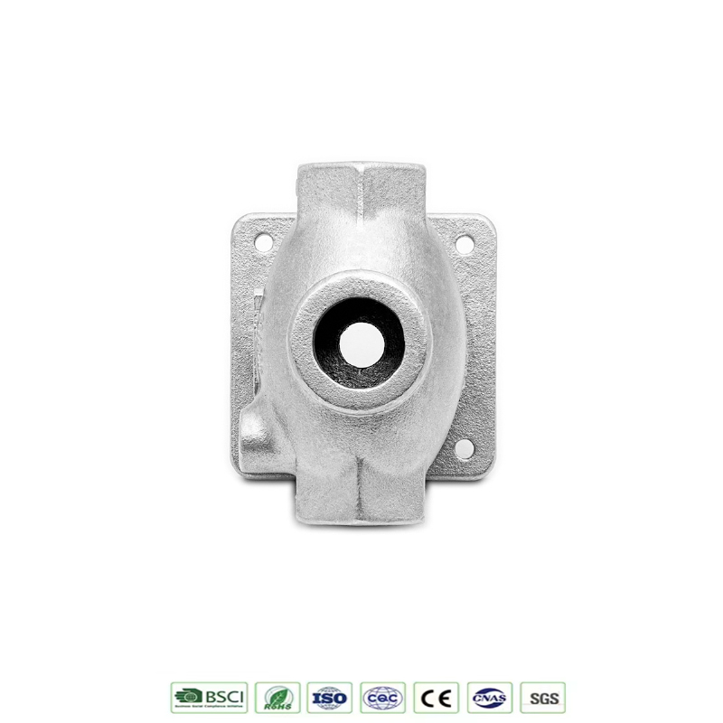 The Unbeatable Strength of Stainless Steel Pump Bodies in High ...